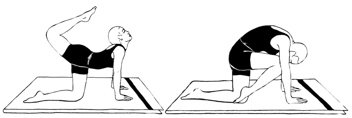 Vyaghrasana (Tiger Pose)- its benefit and How to practice it
